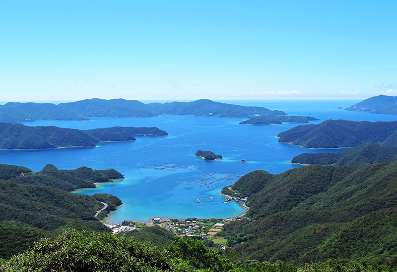 Amami-Oshima Island// - ぐーんと奄美
